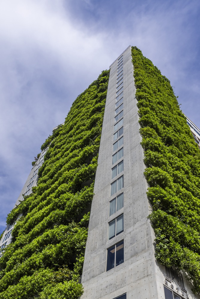 M Hotel Da Nang | BM Windows